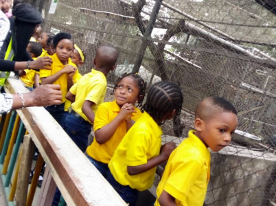 Gallery - Oren Schools